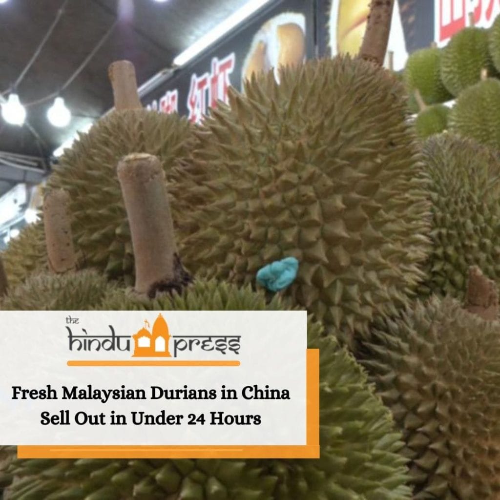 Fresh Malaysian Durians in China Sell Out in Under 24 Hours - THE HINDU ...